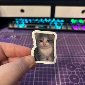 Sad Cat Meme Stickers , Crying Cat Meme Stickers , Meme Stickers , Cat ...