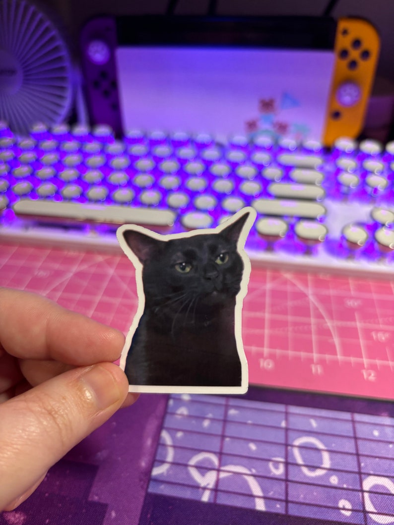 Zoning Out Black Cat Meme Sticker , Black Cat Sticker , Cat Meme ...