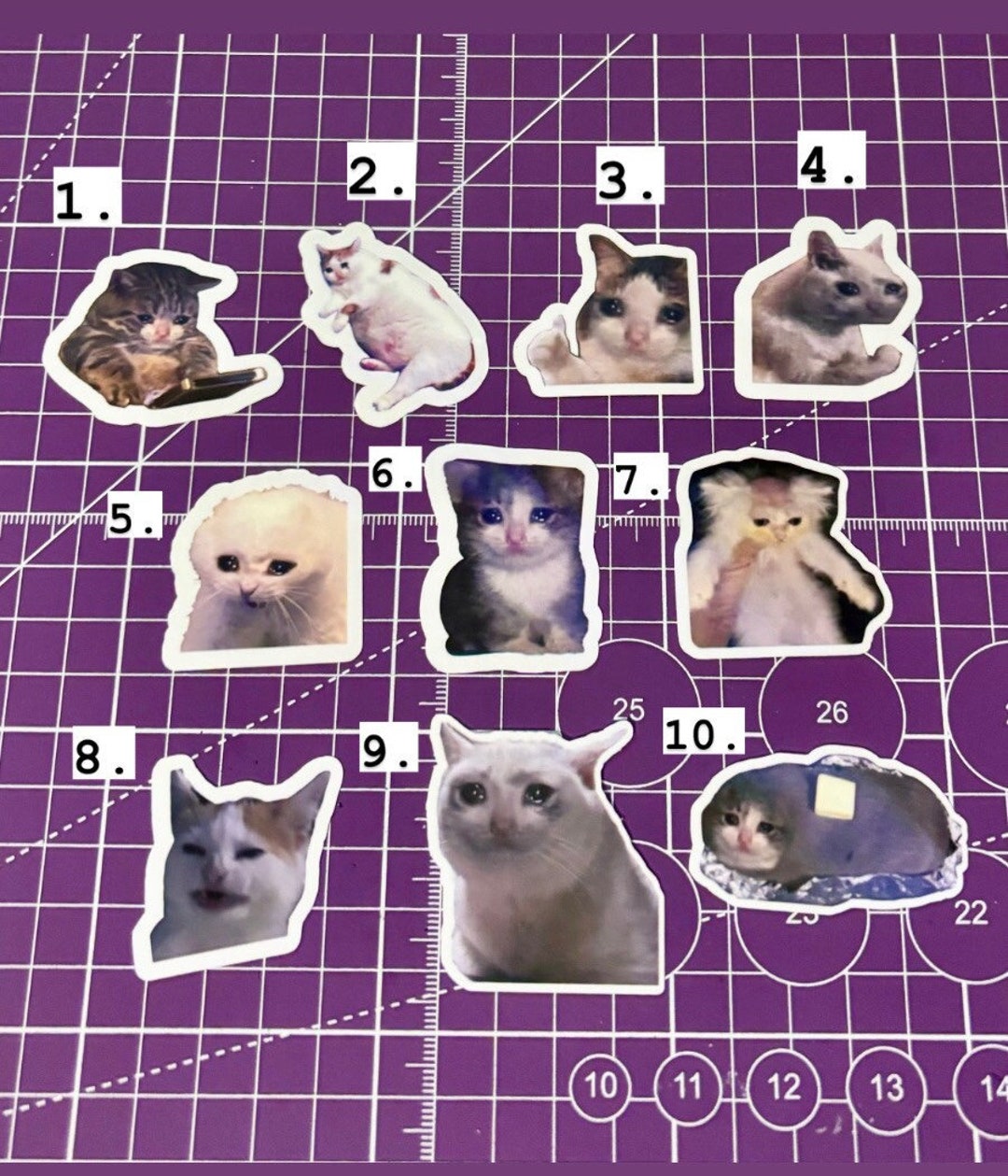 Sad Cat Meme Stickers , Crying Cat Meme Stickers , Meme Stickers , Cat ...