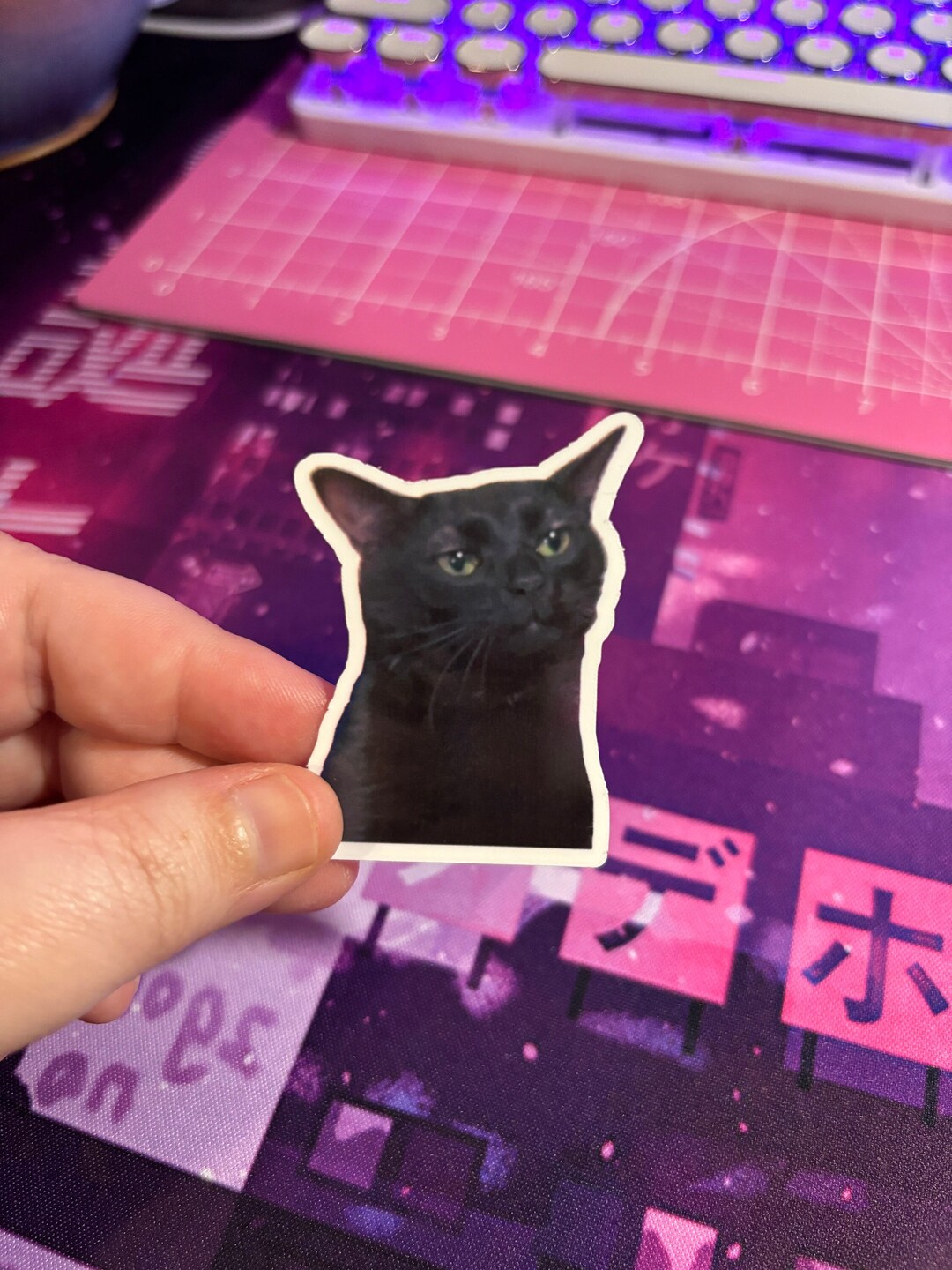 Zoning Out Black Cat Meme Sticker , Black Cat Sticker , Cat Meme ...