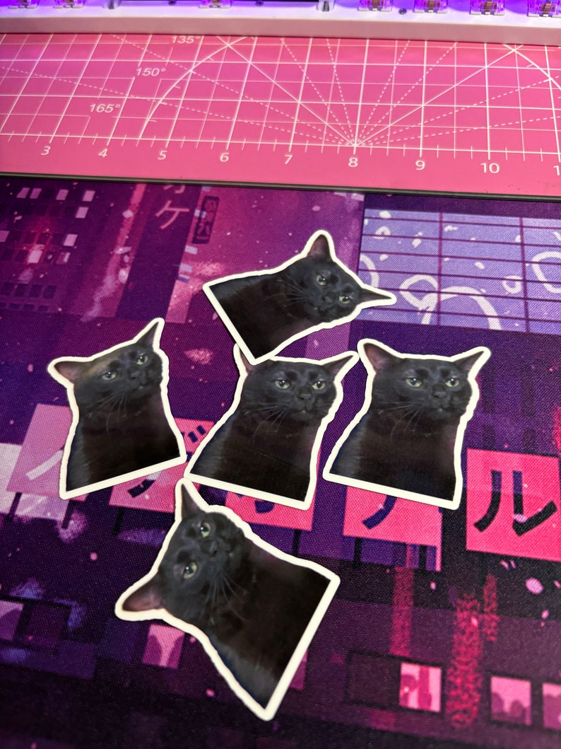 Zoning Out Black Cat Meme Sticker , Black Cat Sticker , Cat Meme ...