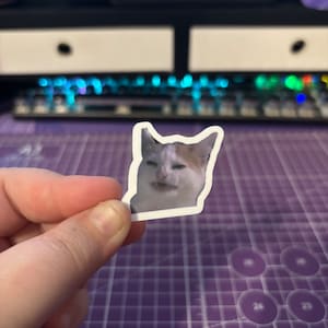 Sad Cat Meme Stickers , Crying Cat Meme Stickers , Meme Stickers , Cat ...