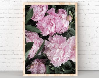 Peony art | Etsy
