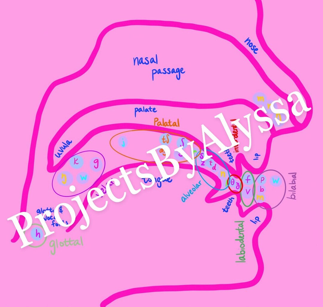 Phonetics Consonant Reference Sheet, Consonant Cheat Sheet, Phonetics ...