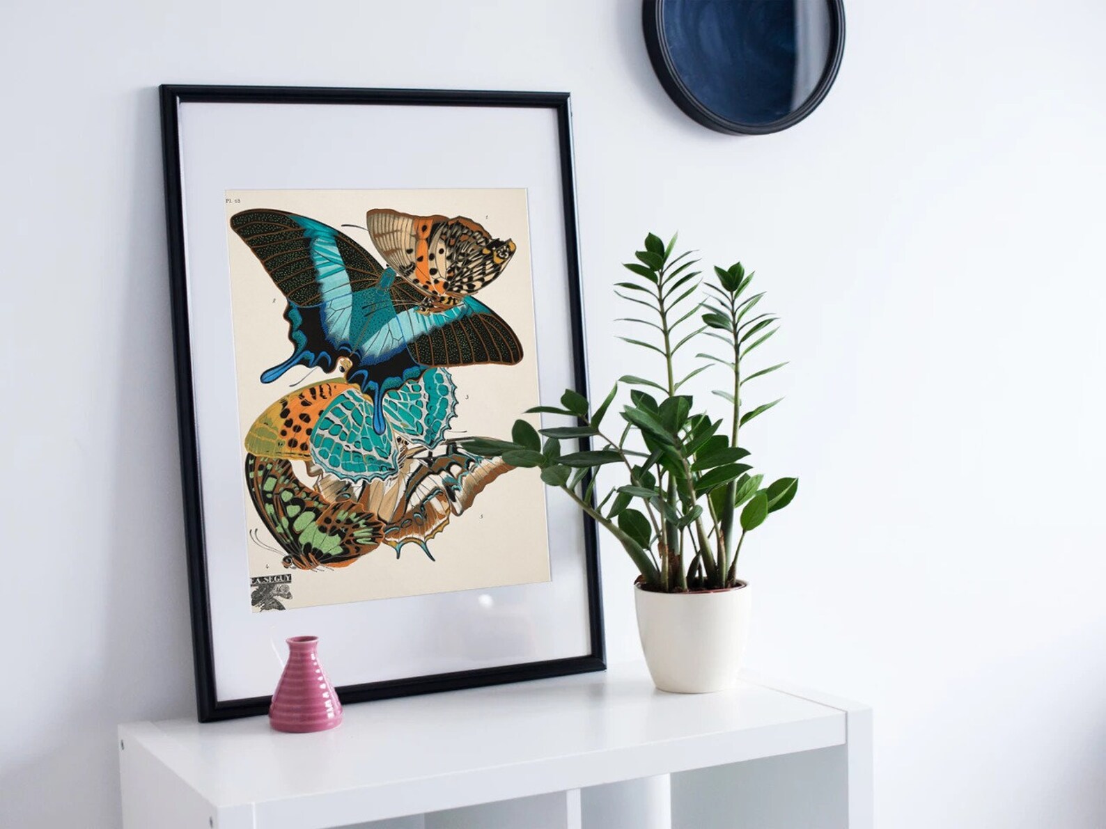 Insect Print Bug Poster Bumble Bee Butterfly Wasp Hornet Bumblebee ...