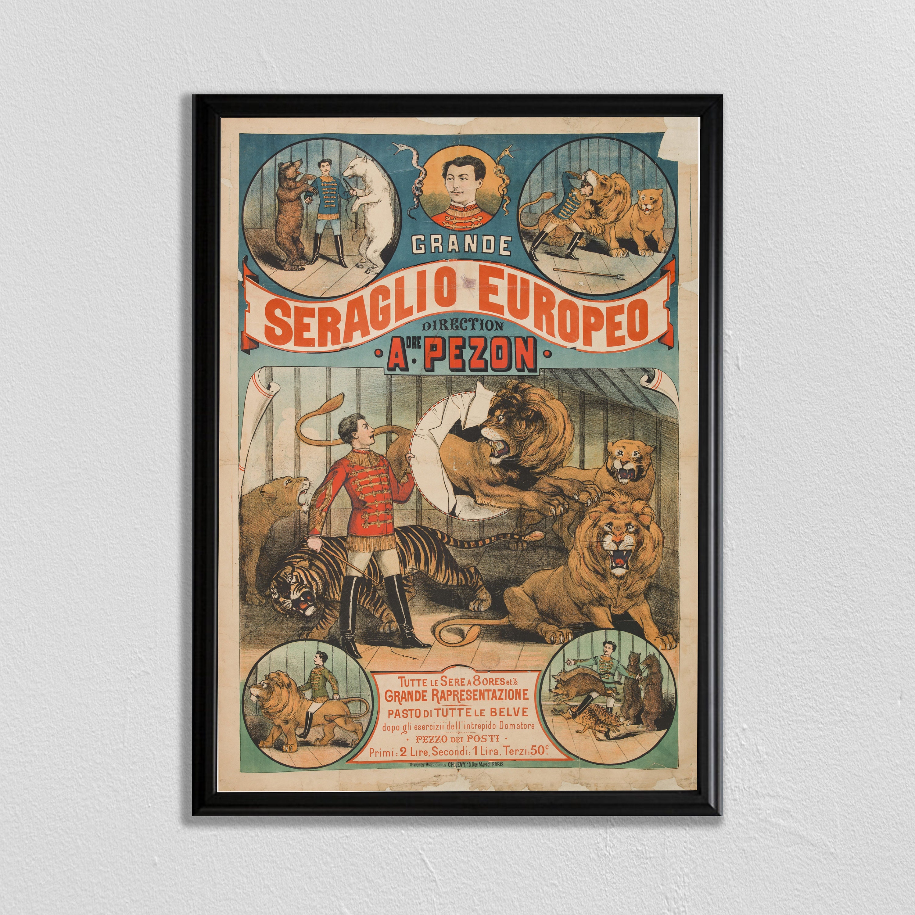 Circus Poster Art Circus Decor Animal Poster Nursery Art - Etsy