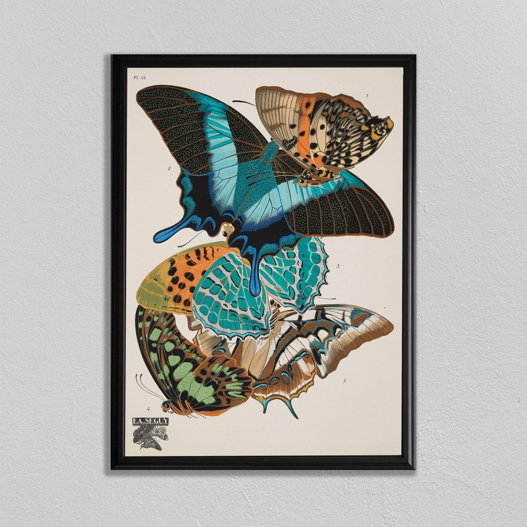 Insect Print Bug Poster Bumble Bee Butterfly Wasp Hornet Bumblebee ...