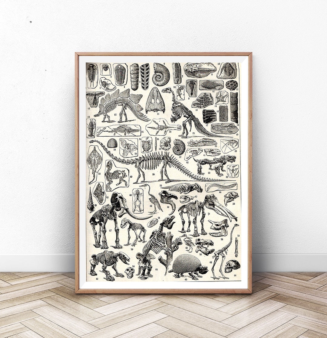Dinosaur Print, Dinosaurs Wall Art, Dinosaur Print, Dinosaur Present ...
