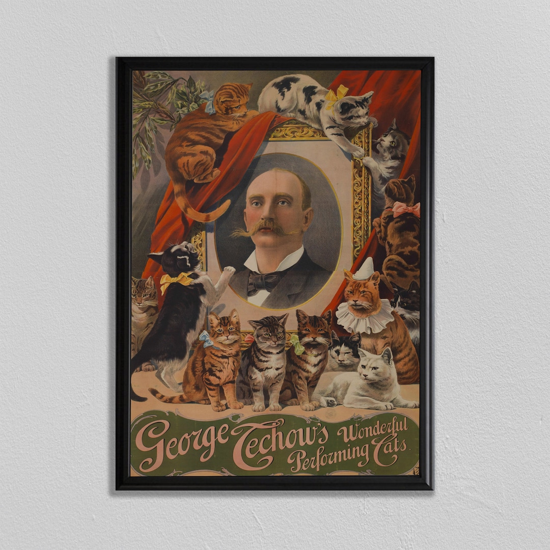 Cat Poster, Cirque, Acrobat Print, Circus Poster Circus Decor, Wall Art ...