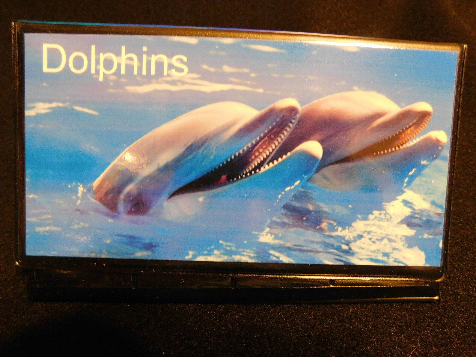 Elongated / Pressed Penny Souvenir Book / Album .. Dolphins - Etsy
