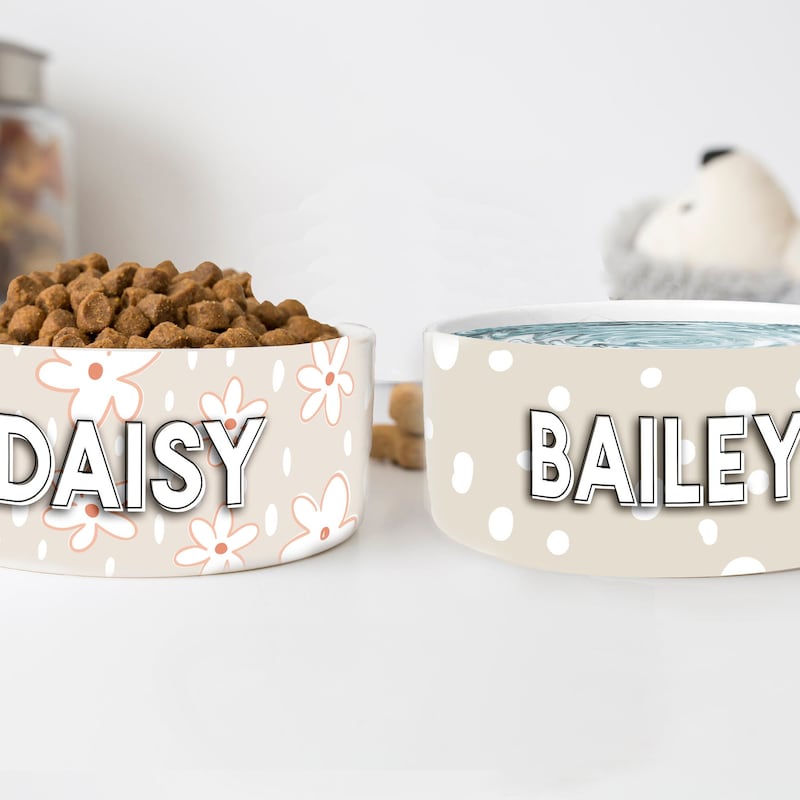 Cat Bowls - Etsy