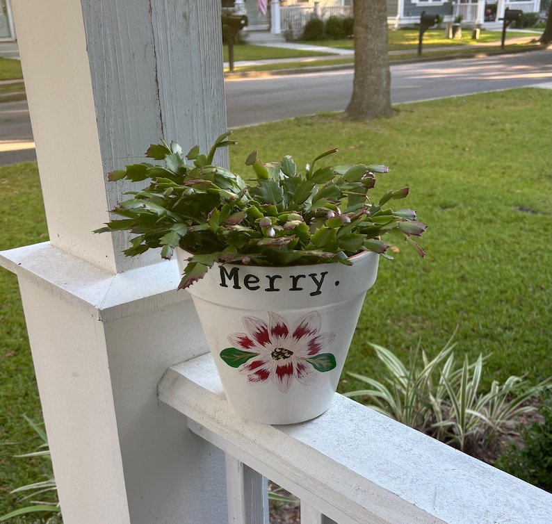 Hand-painted Poinsettia Flower Pot, Christmas Gift - Etsy