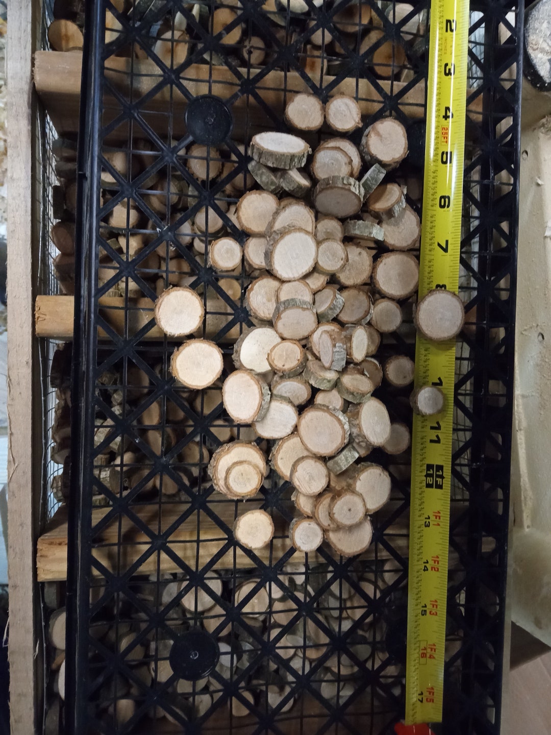 60 Piece Small Oak Wood Slices - Etsy