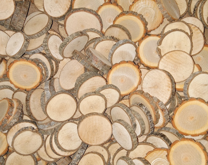 50 Maple Wood Slices - Etsy