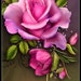 Pink Rose - Counted Cross Stitch Patterns - Printable Chart PDF Format ...