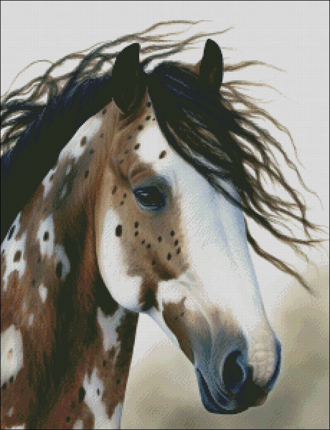 Majestic Pintaloosa Horse - Counted Cross Stitch Patterns - Printable ...
