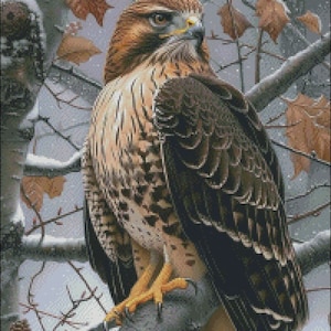 Lady Hawk 2 - Counted Cross Stitch Patterns - Printable Chart PDF ...