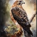 A Hawk - Counted Cross Stitch Patterns - Printable Chart PDF Format ...