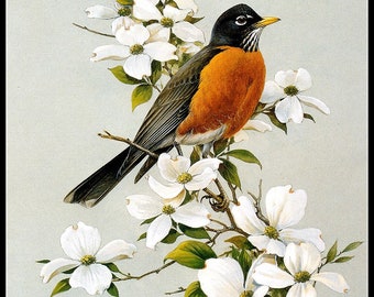 A Hawk Counted Cross Stitch Patterns Printable Chart PDF Format ...