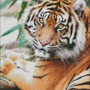 Sumatran Tiger - Counted Cross Stitch Patterns - Printable Chart PDF ...