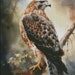 A Hawk - Counted Cross Stitch Patterns - Printable Chart PDF Format ...