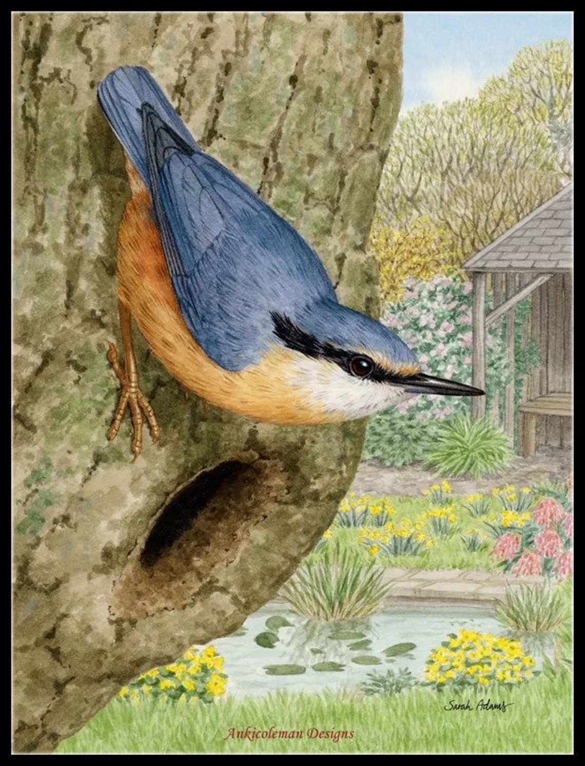 Red-breasted Nuthatch - Counted Cross Stitch Patterns - Printable Chart ...