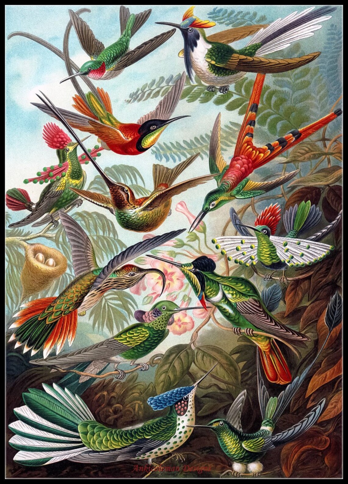 Hummingbirds Vintage Magazine Cover Counted Cross Stitch Patterns ...