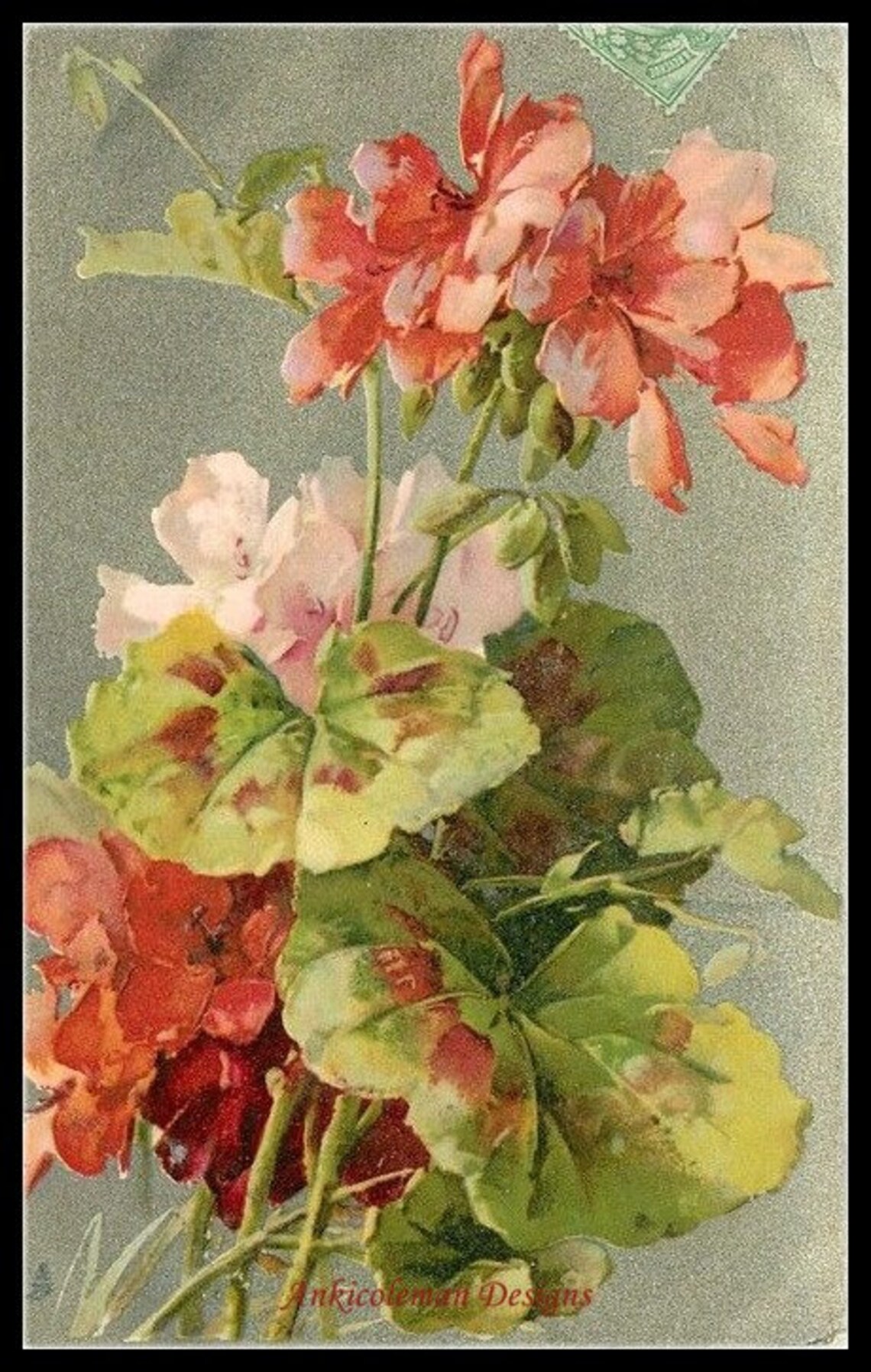 Red and Pink Geraniums - Counted Cross Stitch Patterns - Printable ...