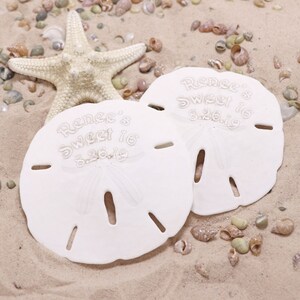 Personalized Beach Sand Dollar Favor - Custom Engraved Beach Theme ...
