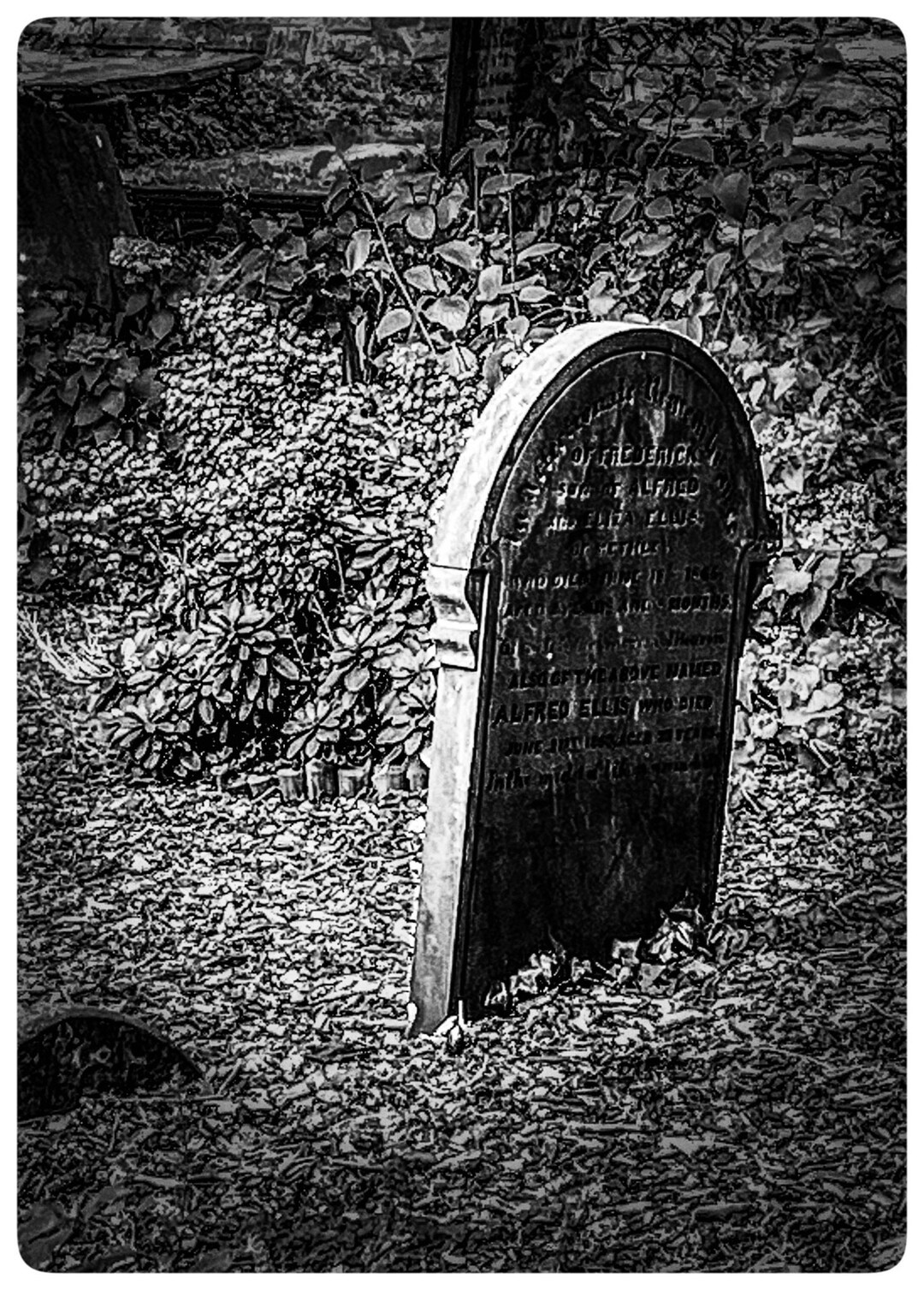 Headstone, Burngreave Cemetery, Sheffield. A4 Print. Mounted, Backed ...