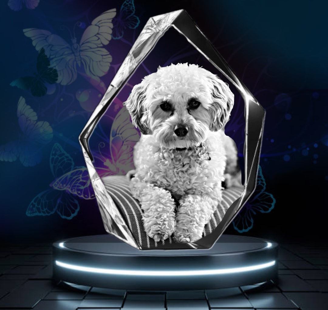 Unique Pet Photo Gift: Prestige 3D Photo Crystal - Customized Pet ...