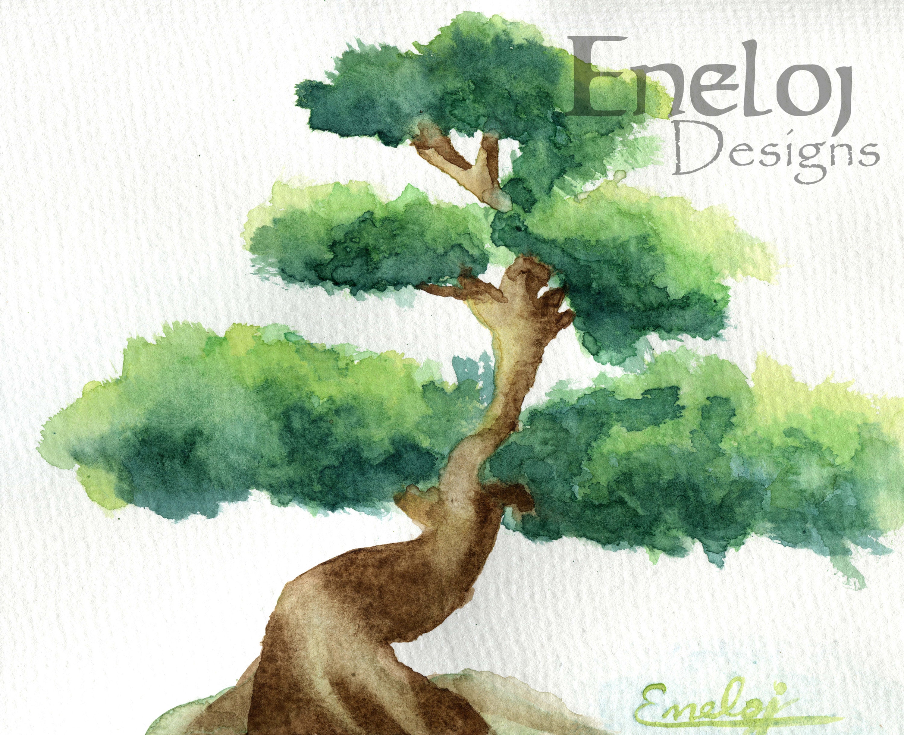 Bonsai Tree Watercolor