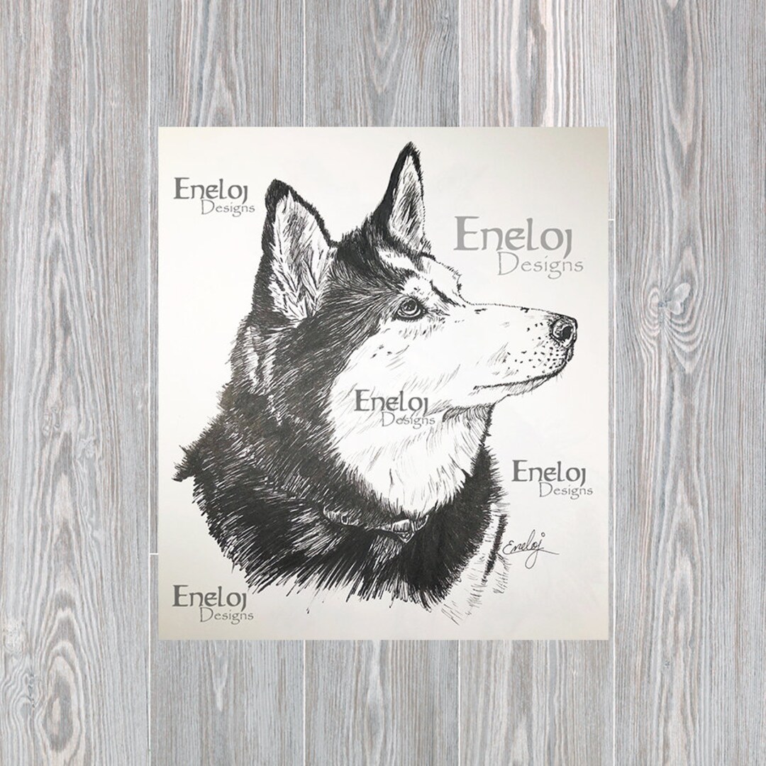 Custom Pet Portrait Drawing / Personalized Pencil Art From Photo / Pen ...
