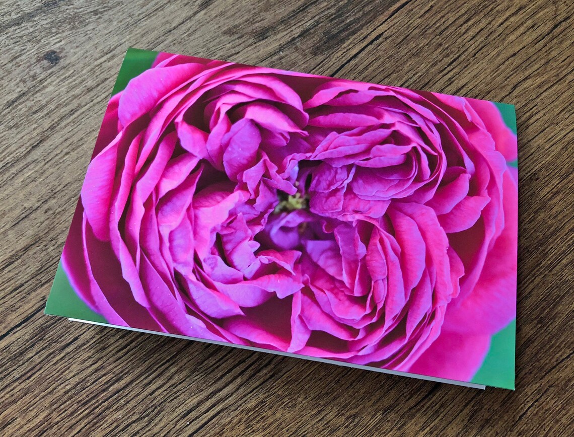 Flower Photo Greeting Cards / Card Assortment / Blank Inside - Etsy