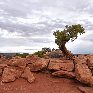 Travel Photo Postcards / Moab Utah Post Cards / Photo Stationery ...