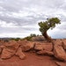 Photo Postcards / Moab Utah Post Cards / Photo Stationery / Party ...