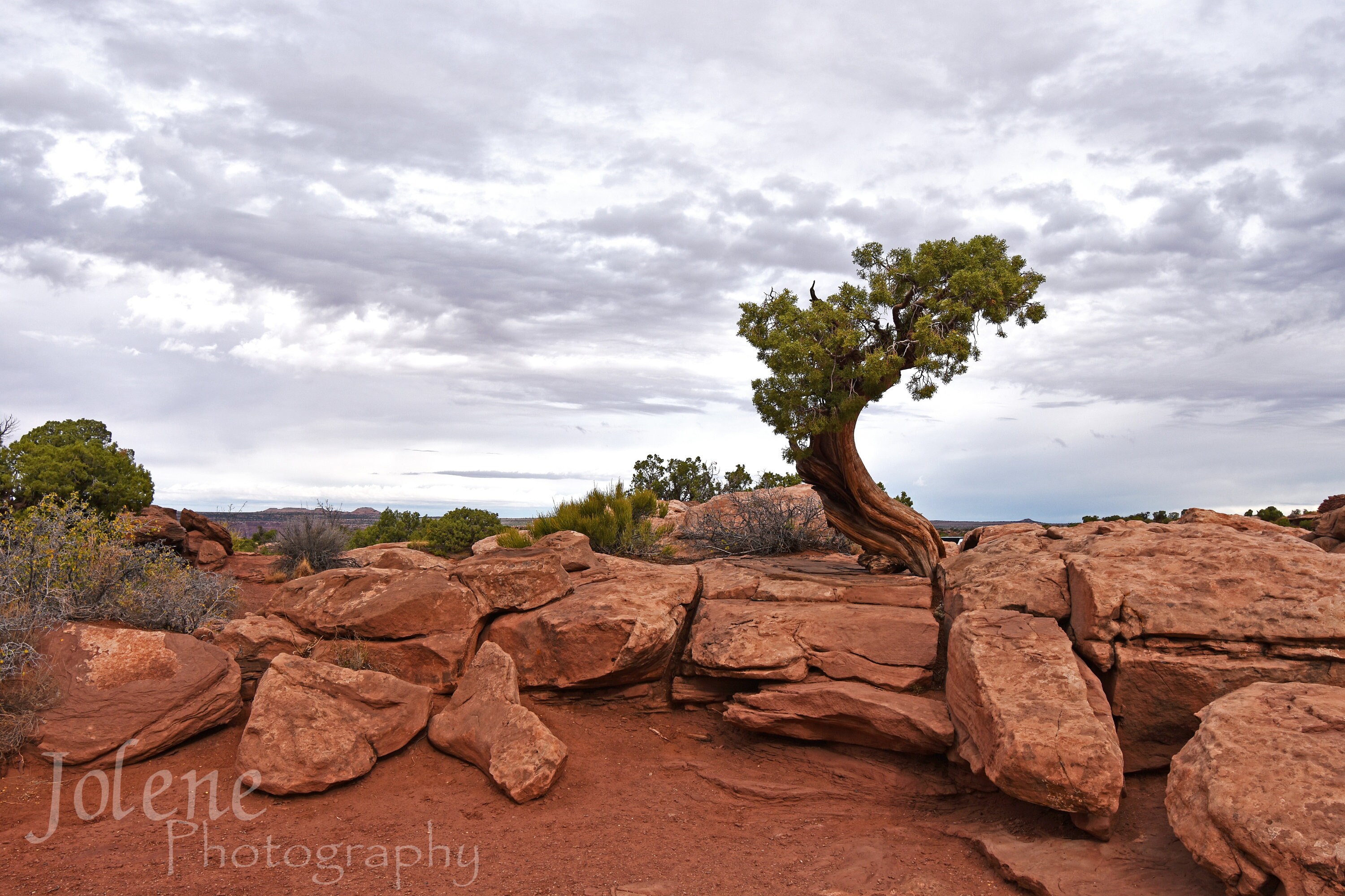 Travel Photo Postcards / Moab Utah Post Cards / Photo | Etsy