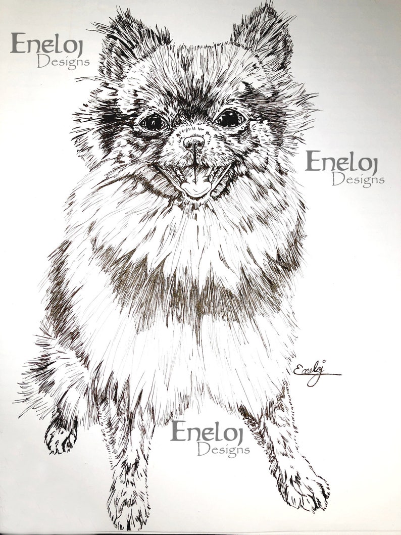Custom Pet Portrait Drawing / Personalized Pencil Art From - Etsy