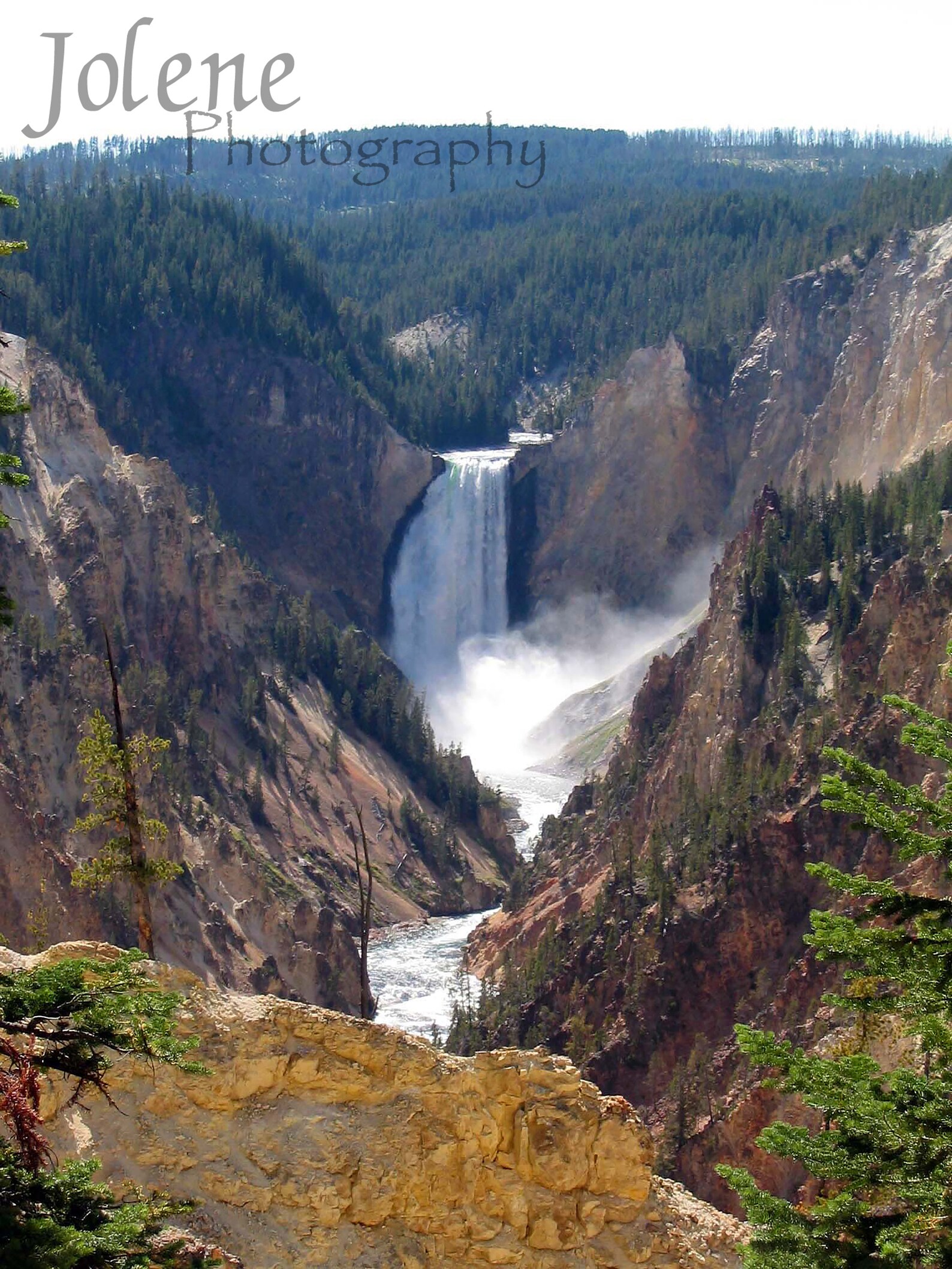 Yellowstone River Lower Falls Photo / Yellowstone National | Etsy