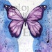 Watercolor Butterfly Card Assortment / Original Painting Stationery ...