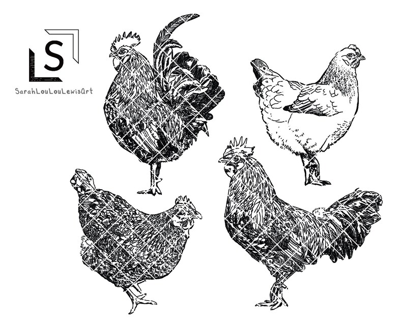 Chicken Pack, Farm Animal, SVG, Png, Pdf, Jpg, Cricut, Illustration ...