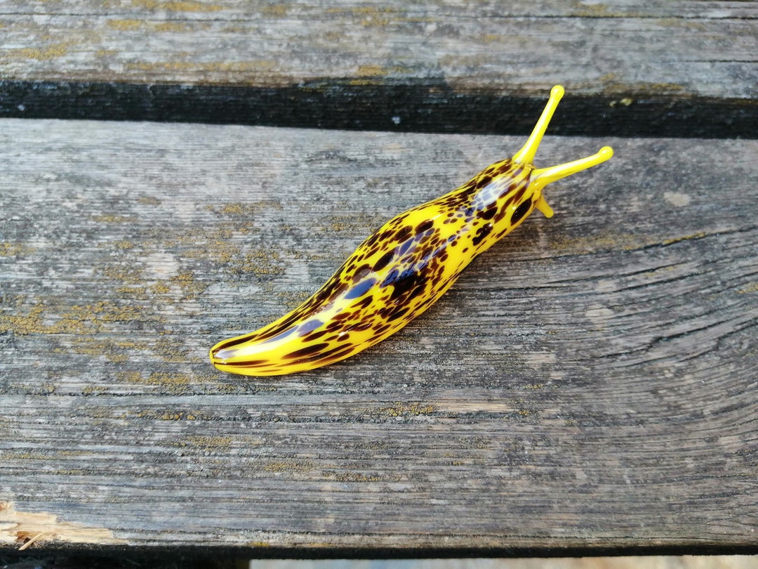 Glass Slug, Glass Slug Figurine, Murano Slug, Slug Ornament, Colorful ...