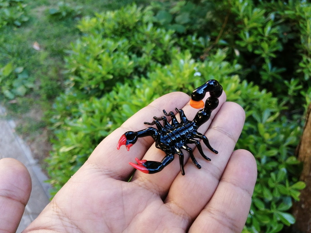Glass Scorpion, Glass Black Scorpion, Scorpion Ornament, Murano ...