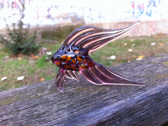 Lila Tropischer Fisch