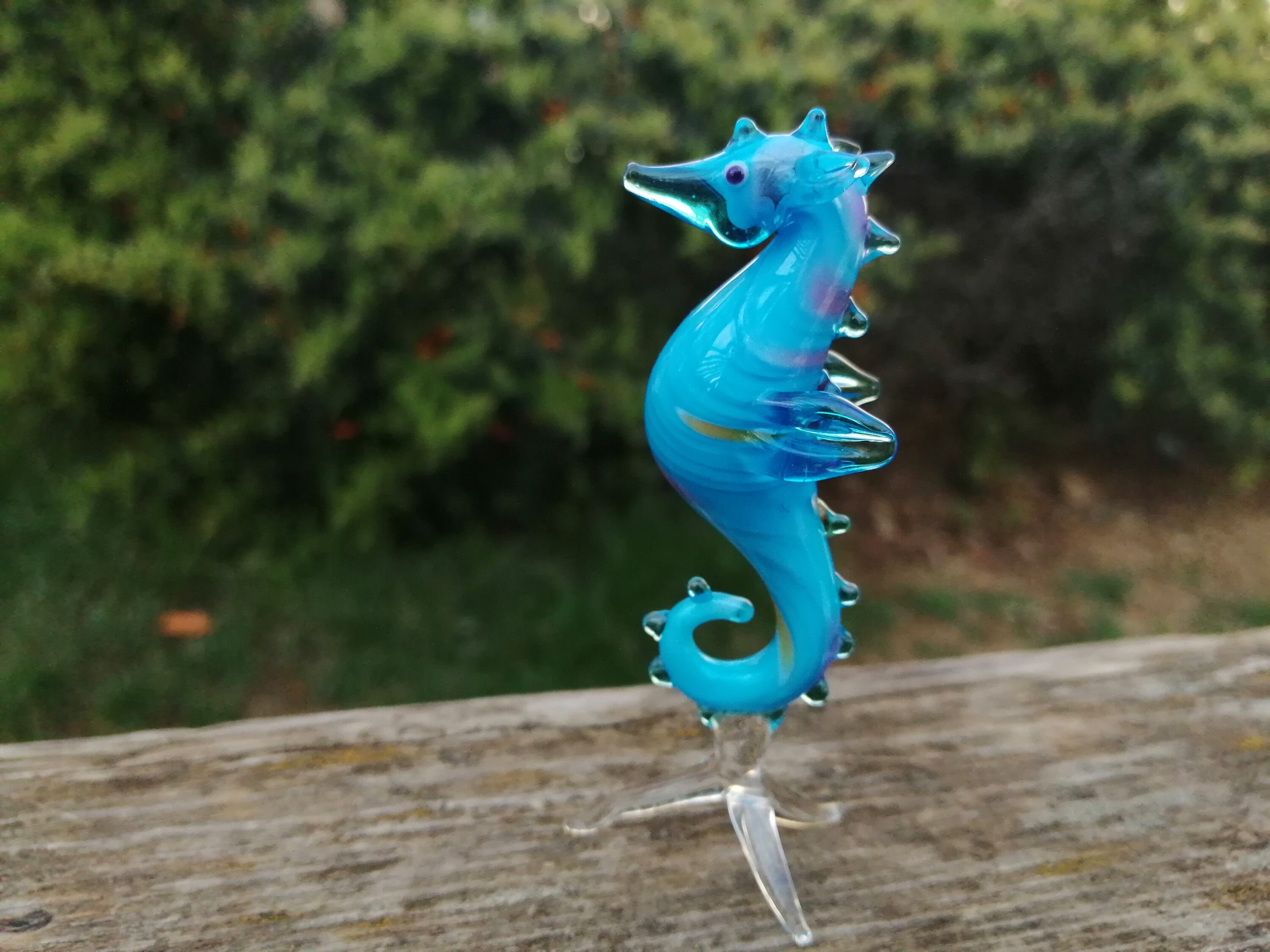 Glass Sea Horse, Sea Horse Ornament, Murano Sea Horse, Blown Glass ...