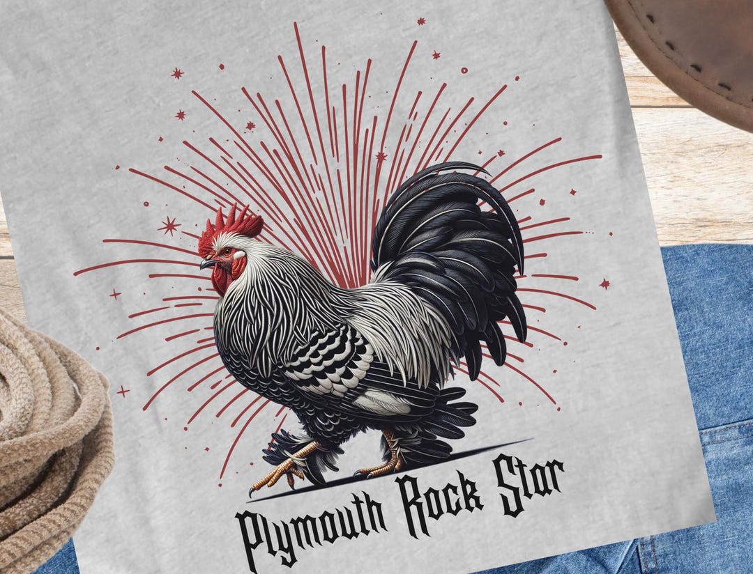 Barred Rock Chicken Plymouth Rock Star Shirt With Fireworks Retro Vibe ...