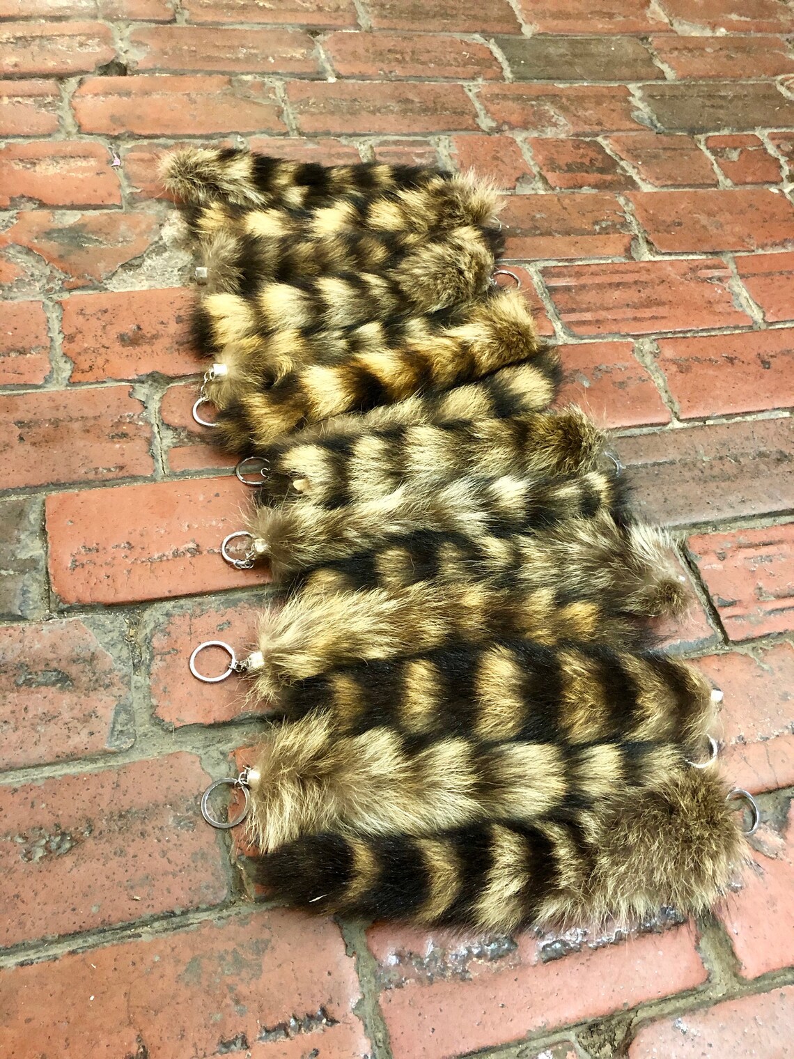 Raccoon Tails Raccoon Tail Keychain Taxidermy Keychain - Etsy