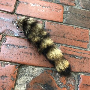 Raccoon Tails | Raccoon Tail Keychain | Taxidermy Keychain | Raccoon ...