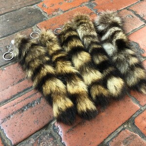Raccoon Tails | Raccoon Tail Keychain | Taxidermy Keychain | Raccoon ...