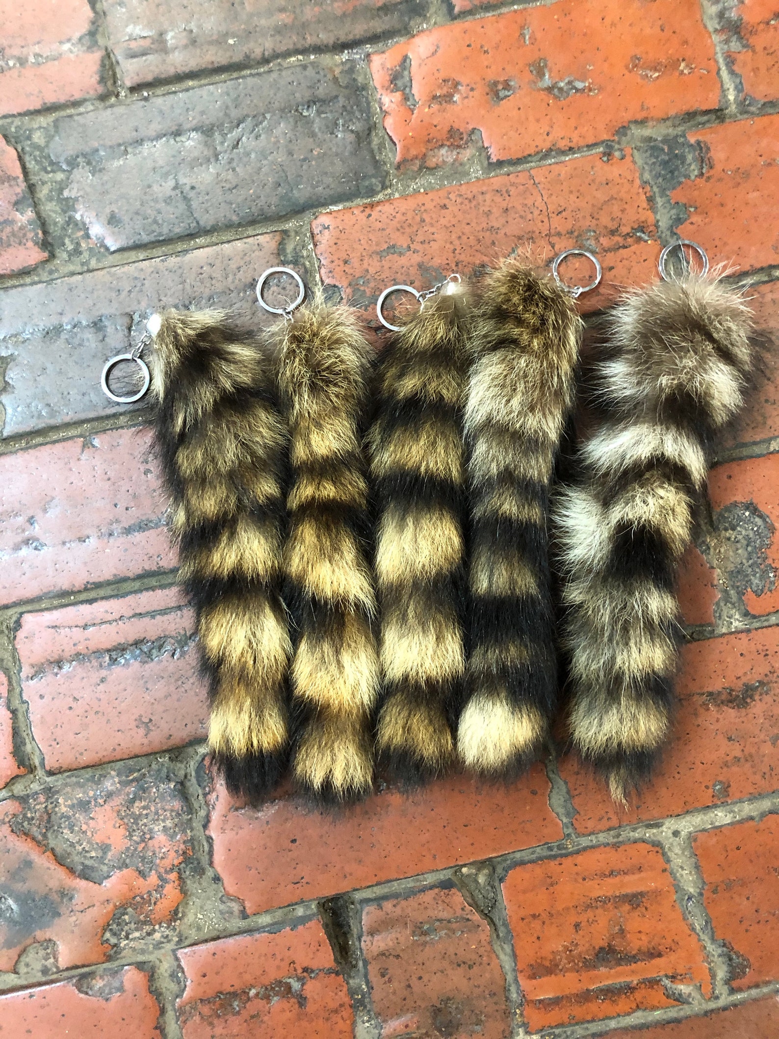 Raccoon Tails Raccoon Tail Keychain Taxidermy Keychain | Etsy Canada